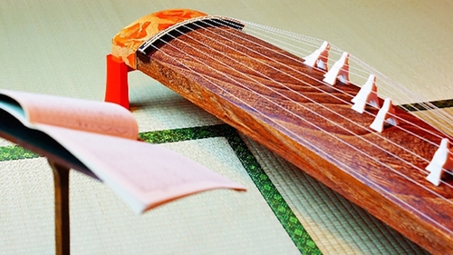 Private Traditional Japanese Instrument Music Lesson - Tokyo | Expedia