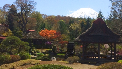 Private Mount Fuji Viewing Full-Day Tour with Hot Springs - Tokyo | Expedia